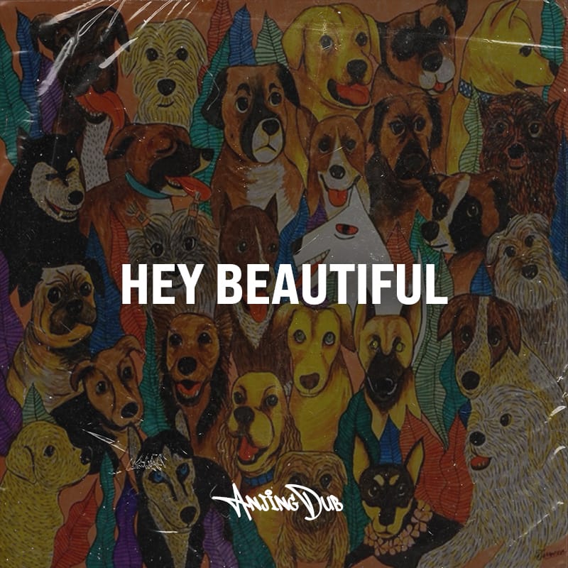Lirik Lagu Anjing Dub - Hey Beautiful | Rap Lib